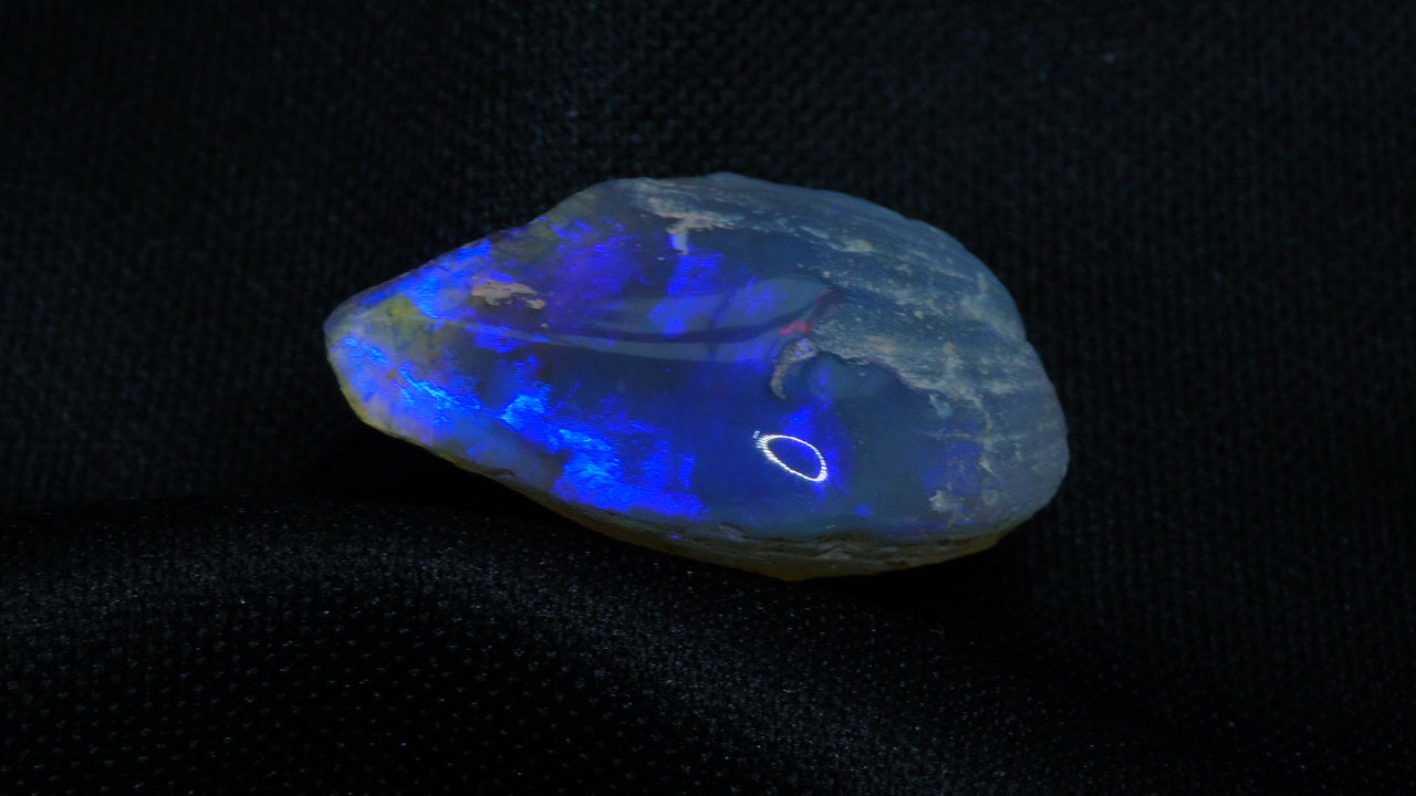 Opal Fossils – W.M OPALS